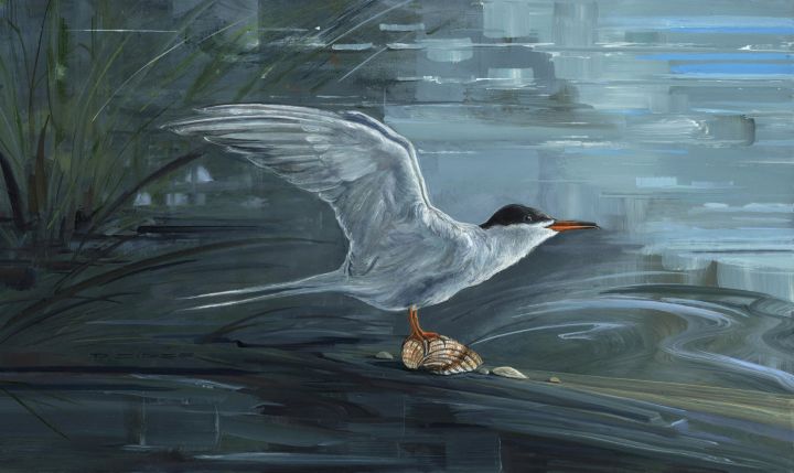 Doug Zider [RA 2015] : The Tern, 2022. | Salmagundi Club