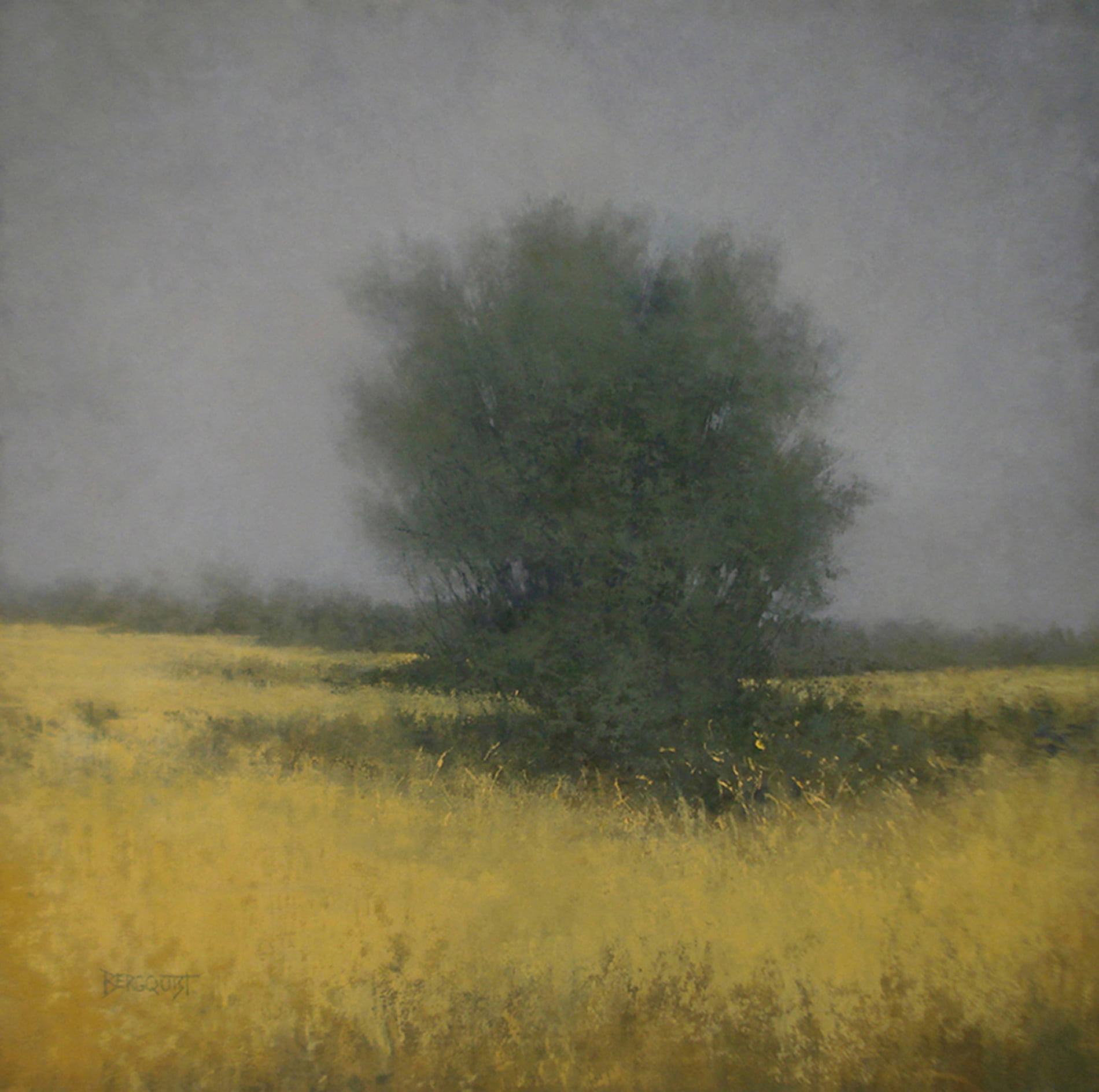 Kate Bergquist [NM] : Canola field, 2022. – salmagundi.org
