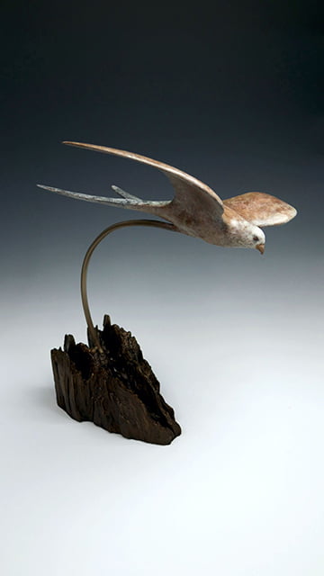 Cathy Ferrell [NRA 1989] : Skimming the treetops 1, 2019. | Salmagundi Club
