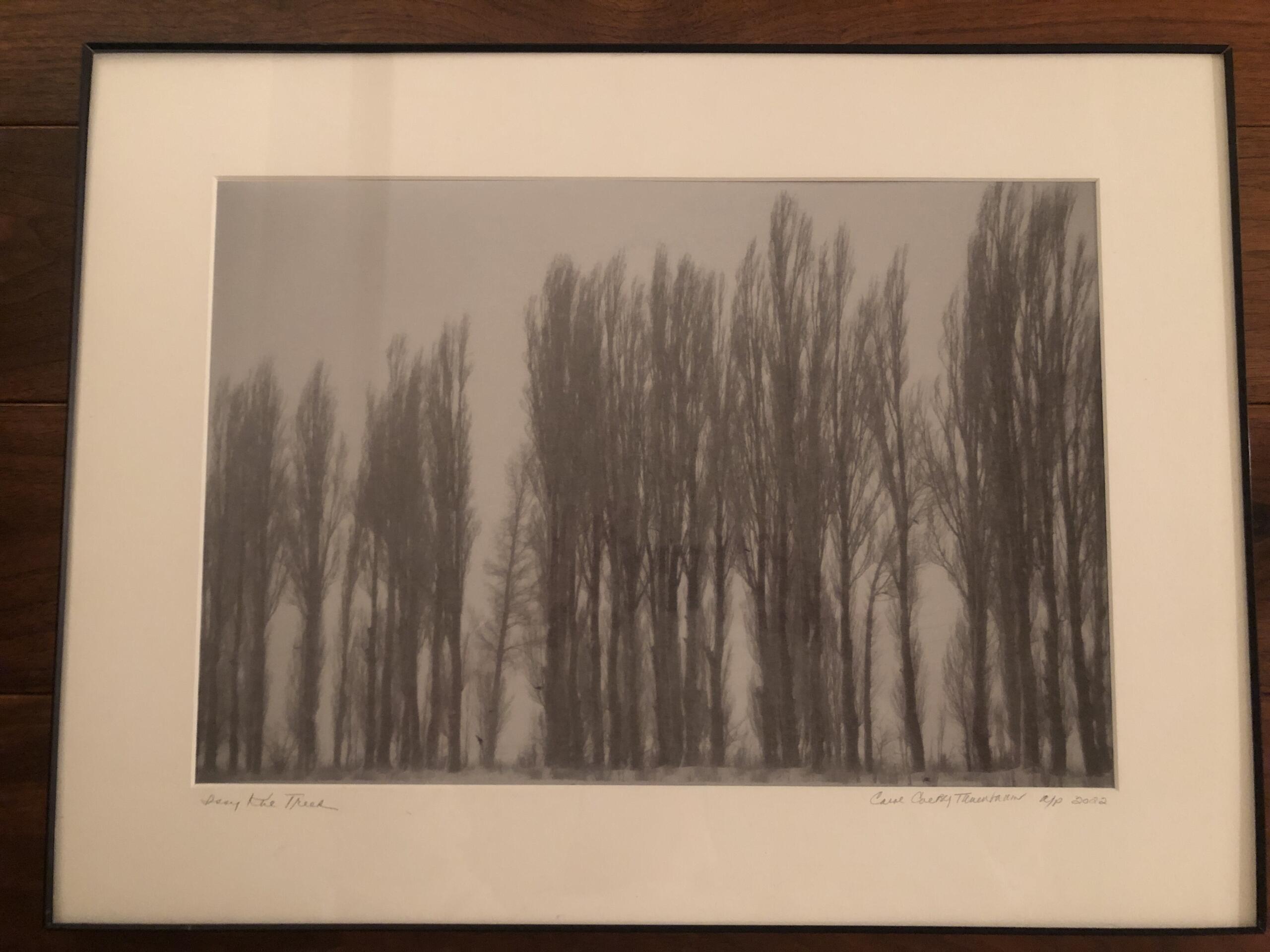 Carol Colby Tanenbaum [RA 2015] : Issyk Kul trees , 2022. – salmagundi.org
