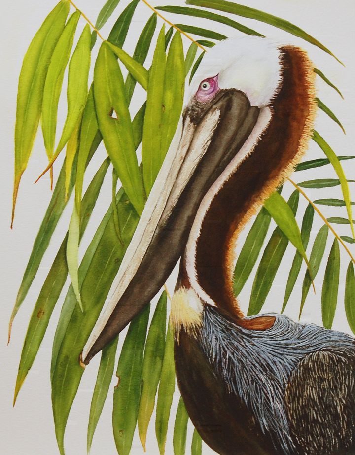 Sharon Way-Howard [NRA 1999-2022] : Pelican pose, 2020. – salmagundi.org