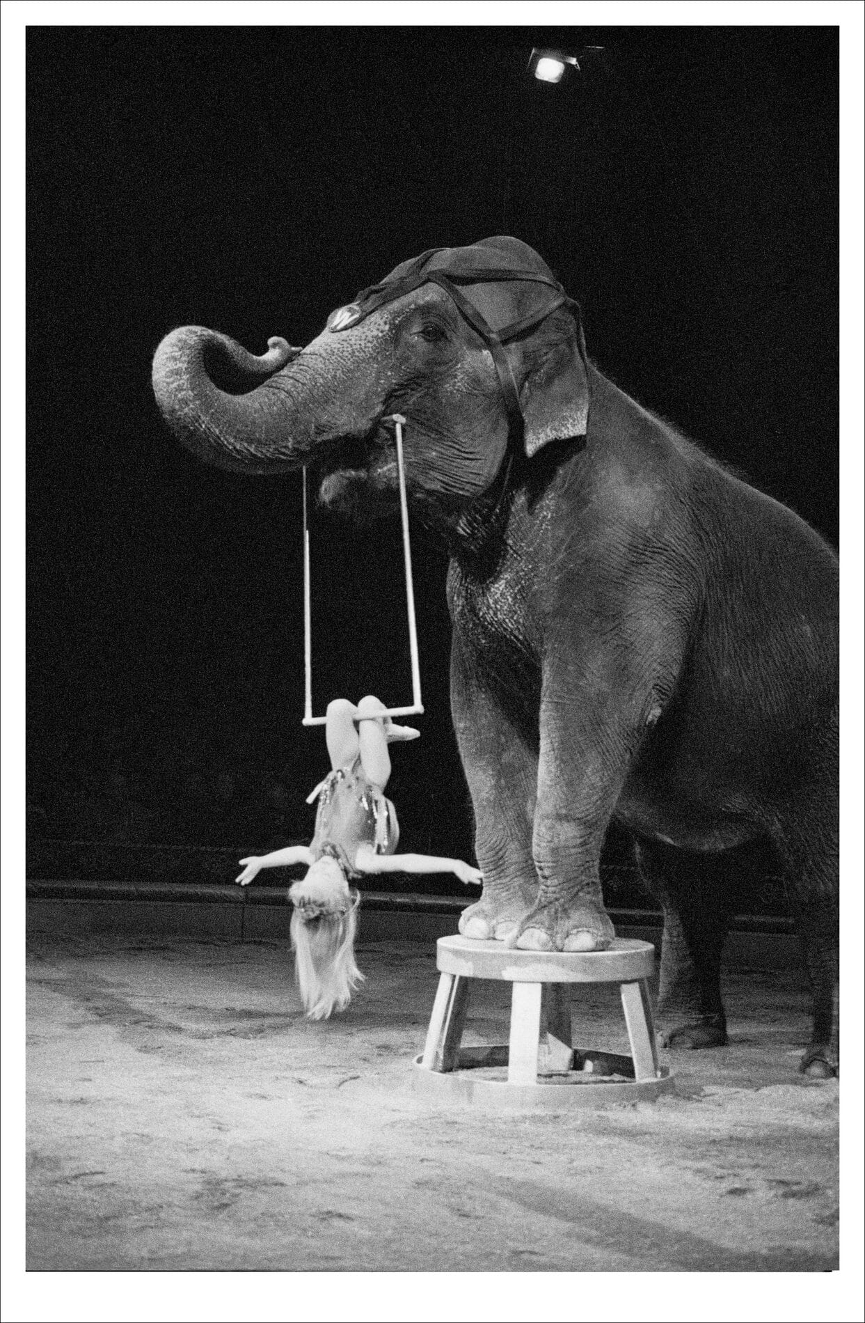 Gigi Stoll [NM] : Big Apple Circus 4 NYC, 1994. – salmagundi.org