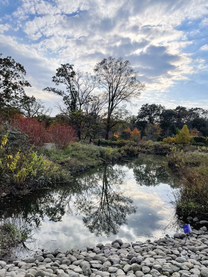 Marcia Lloyd [RA 2017] : Water garden, Brooklyn Botanic Gardens ...