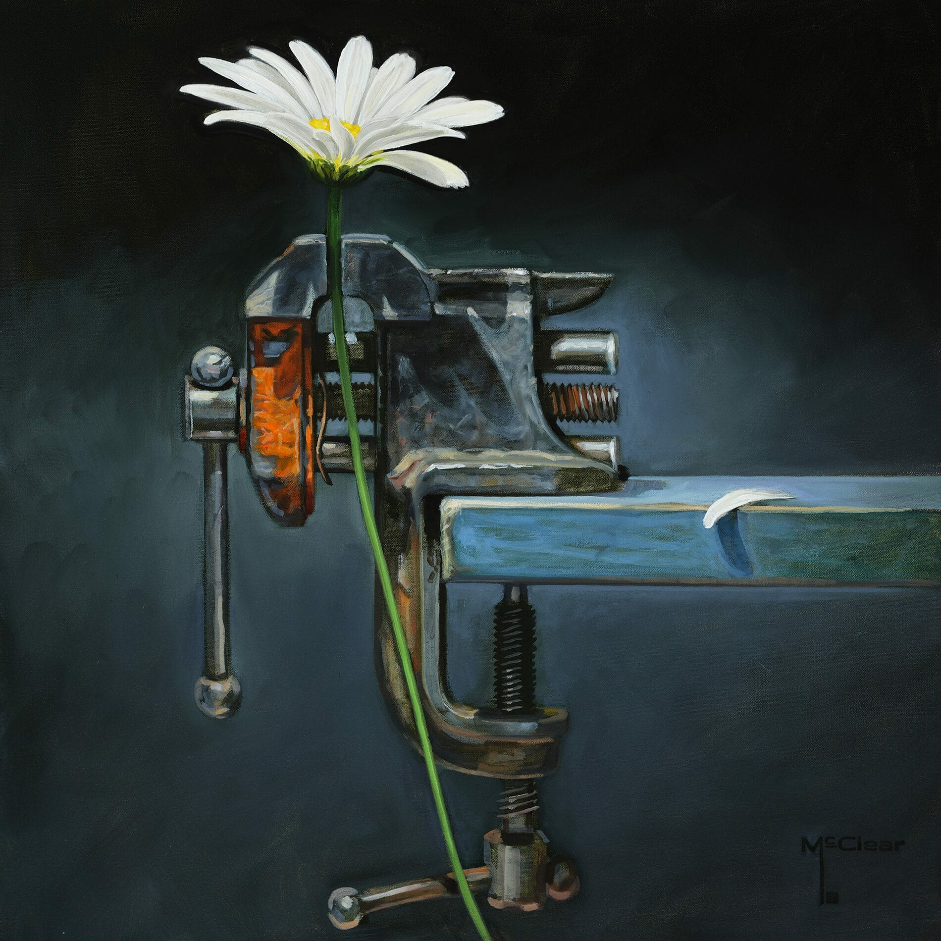 Brian McClear [NRA 2018] : Pressed Daisy | Salmagundi Club