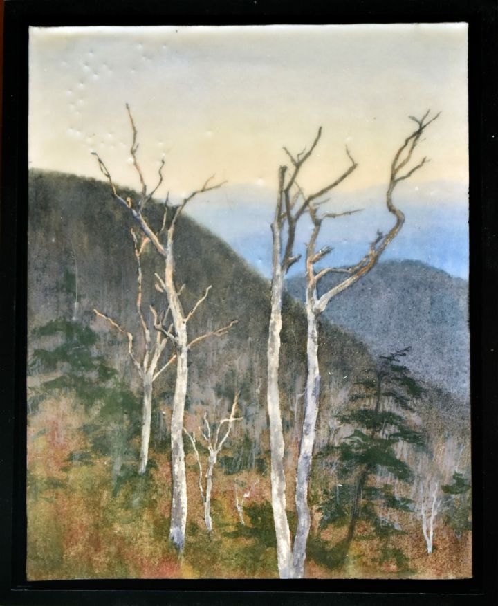 Mary C Graham [NRA 2018] : Trees on a Mountain in Fall | Salmagundi Club