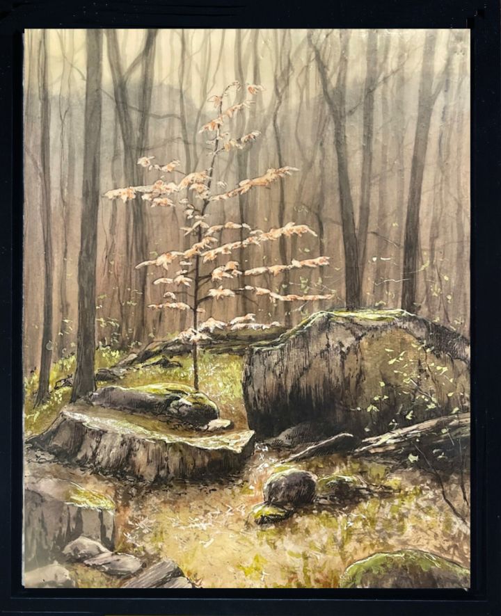 Mary C Graham [NRA 2018] : Trees on a Mountain in Spring | Salmagundi Club