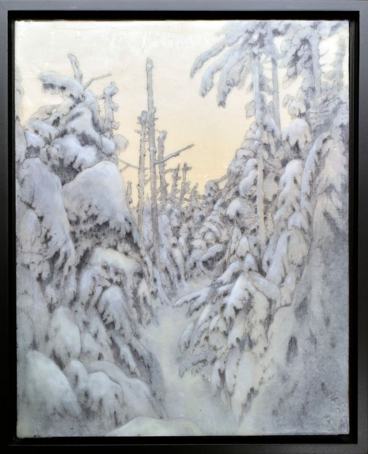 Mary C Graham [NRA 2018] : Trees on a Mountain in Winter | Salmagundi Club