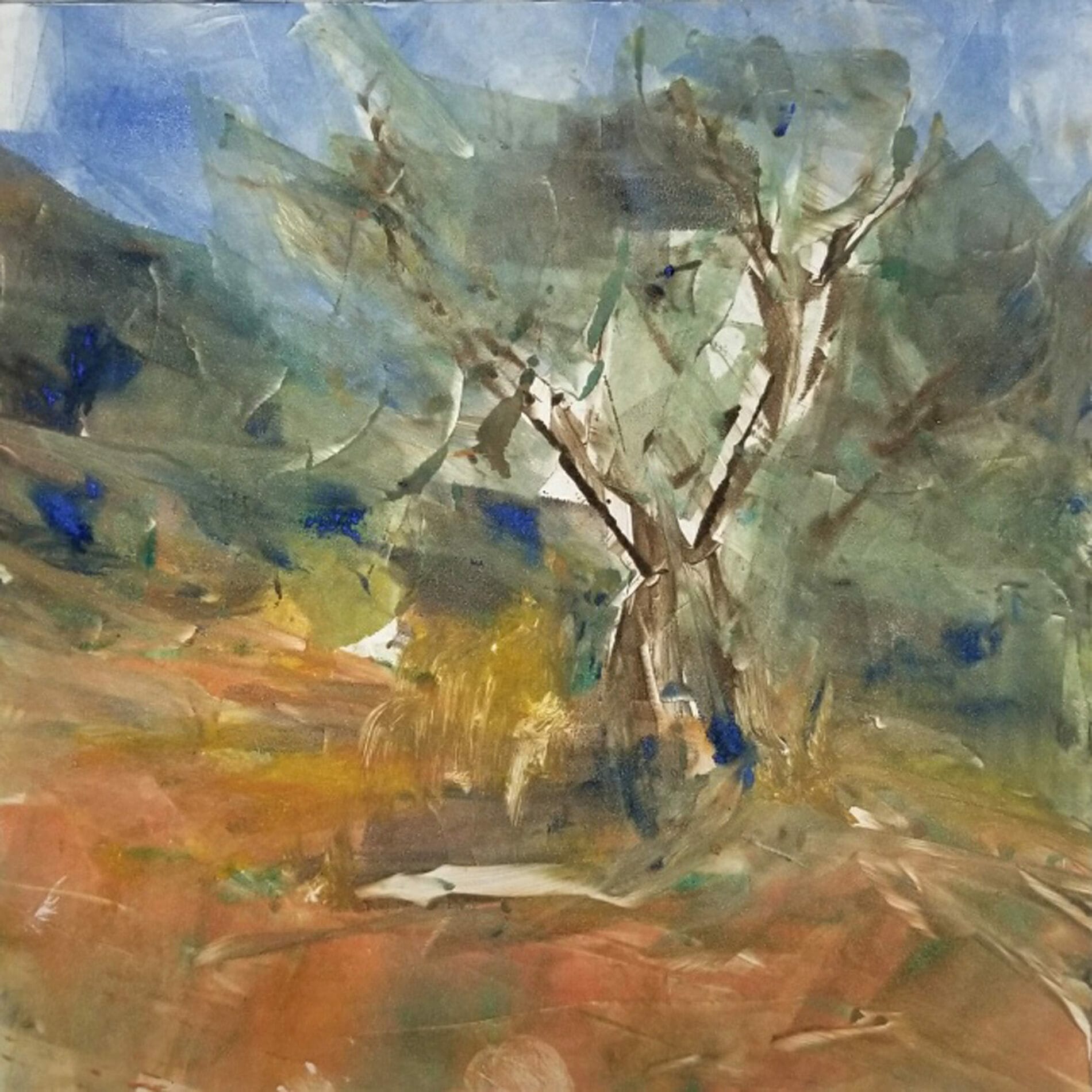 Julie Hopkins [NRA 2009] : Olive Trees IV | Salmagundi Club