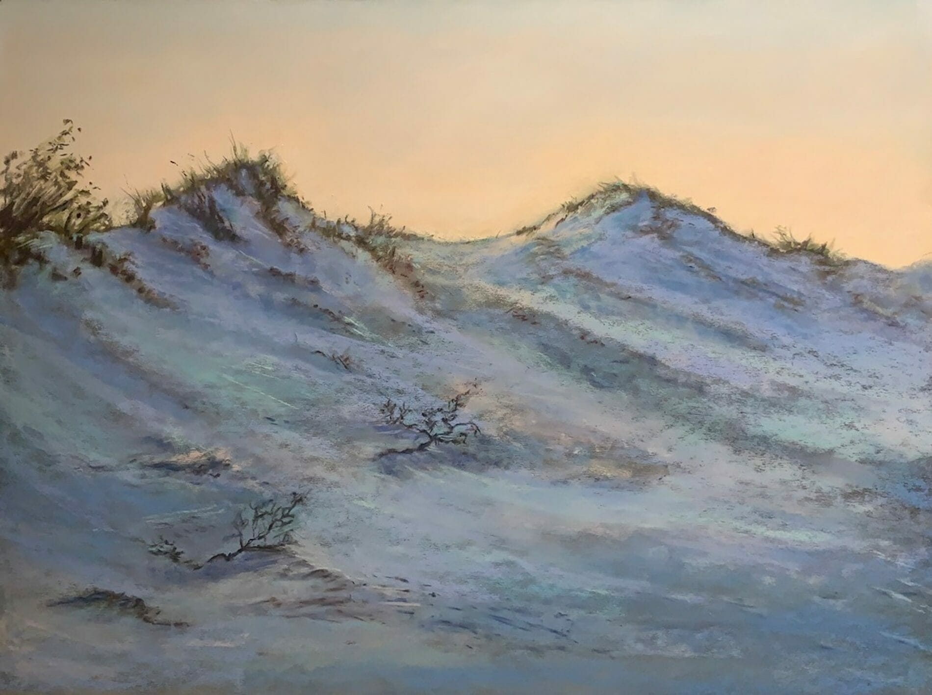 Jane E Robbins [NRA 2024] : Dark Side of the Dune | Salmagundi Club