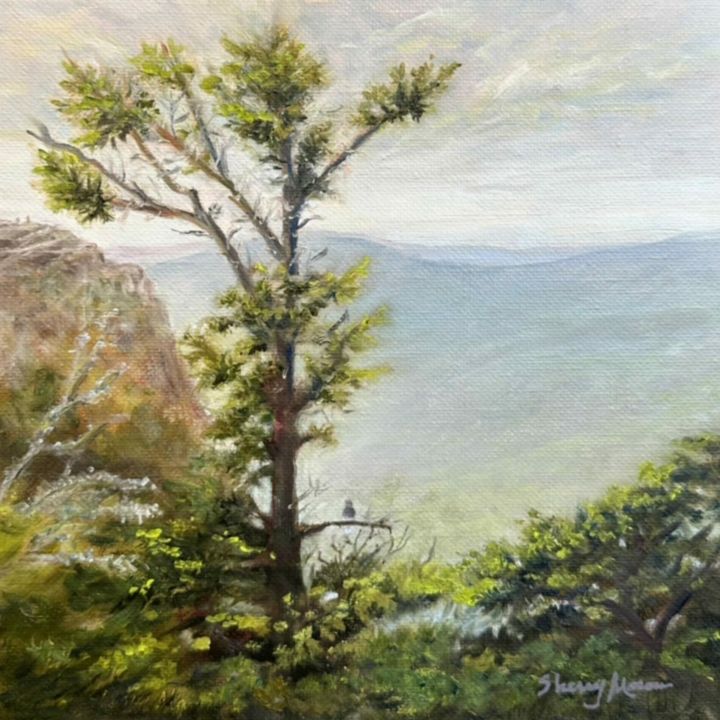 Sherry Mason [NRA 2025] : Bird's Eye View Atop Grandfather Mountain ...