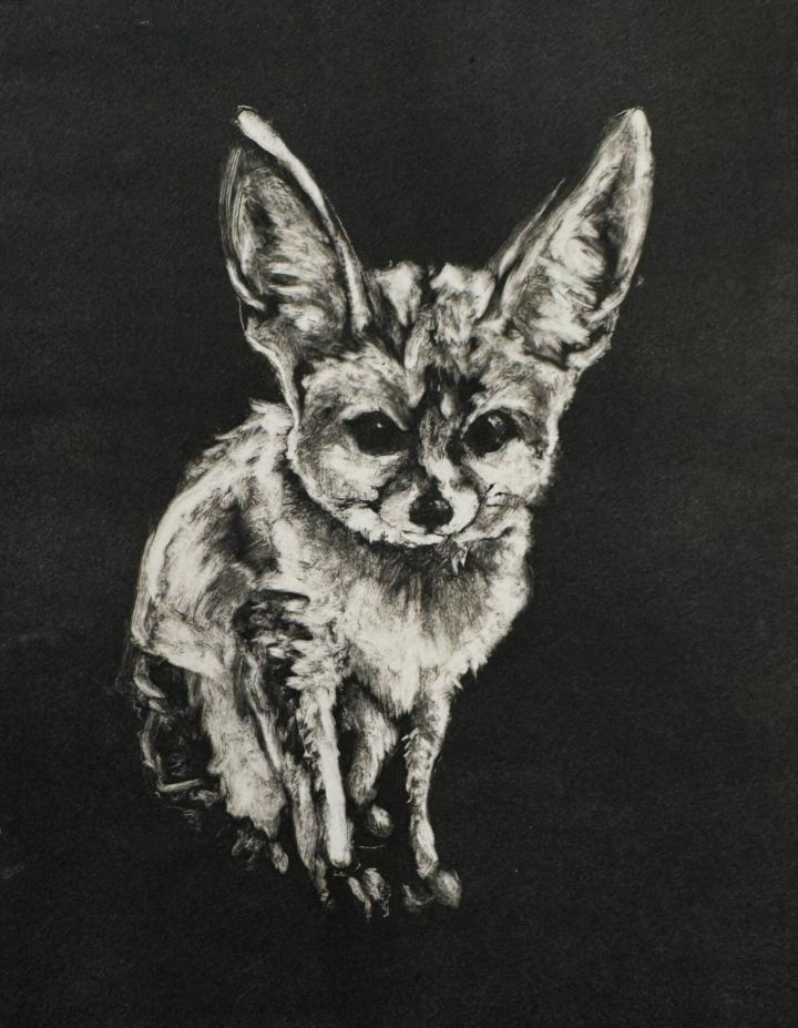 Emily Mintz [RA 2019] : A Cute Fennec Fox | Salmagundi Club