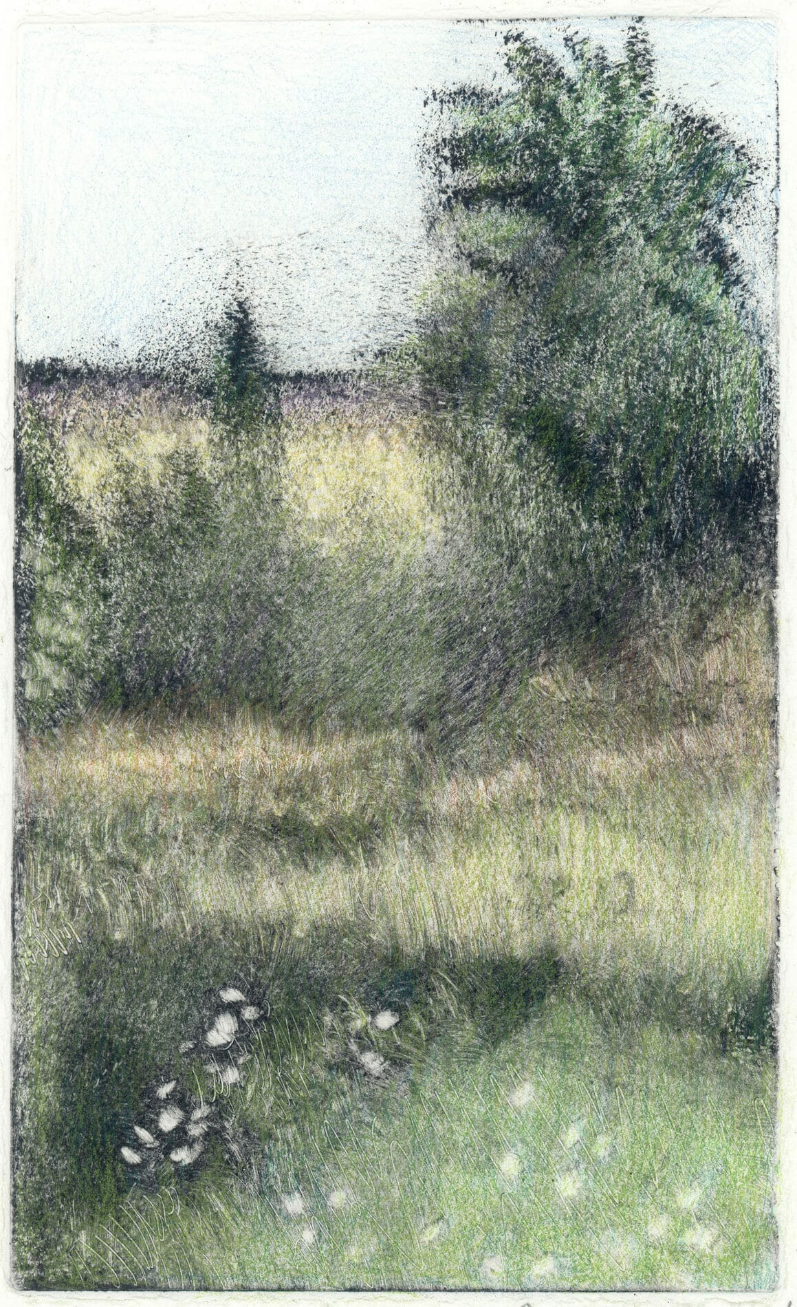 Patricia J Wynne [NM] : Vintage Meadow | Salmagundi Club