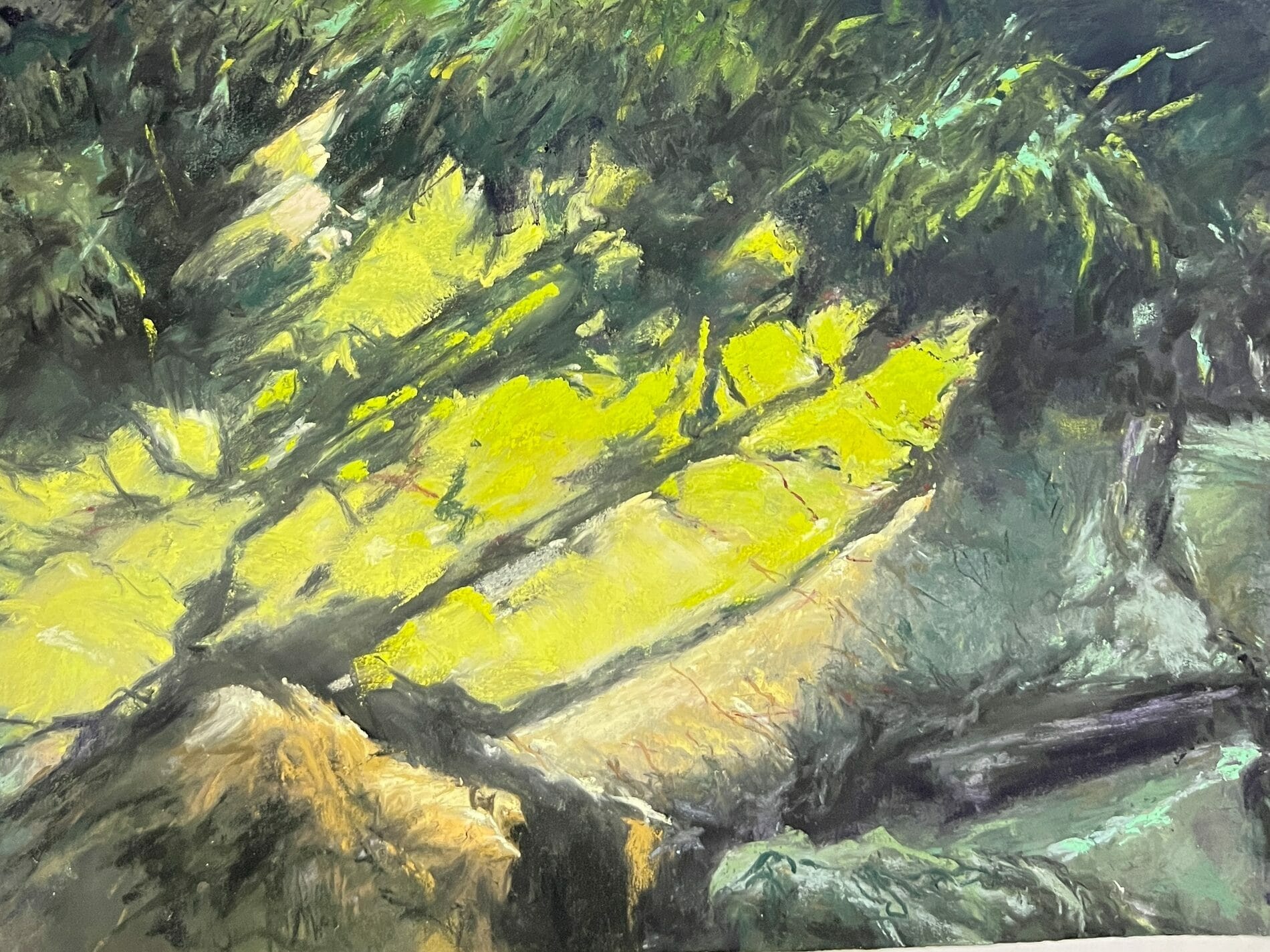 Jane Wright Wolf [NRA 2015] : In Light and Shadow Milford Sound NZ ...